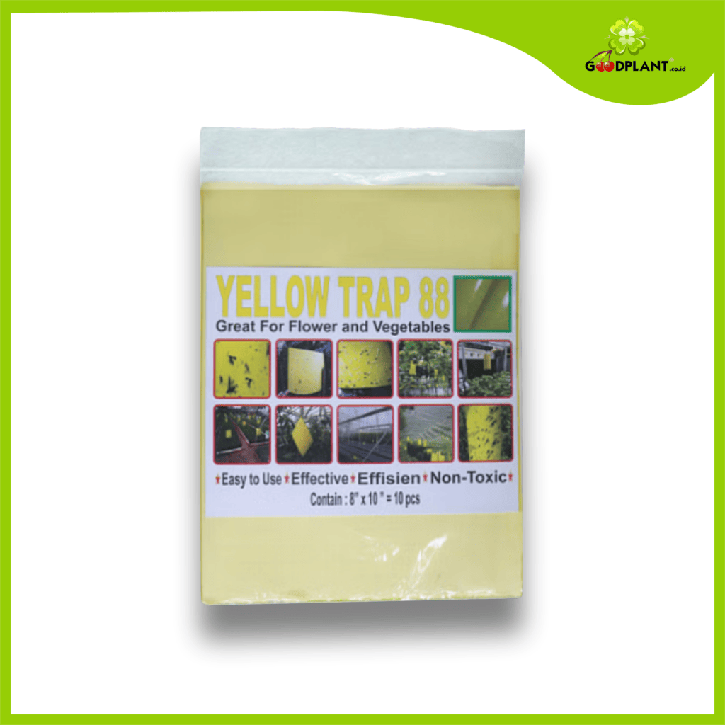 Yellow Trap 88 - GOODPLANT | Toko dan Kebun Hidroponik | 0822 2727 3232