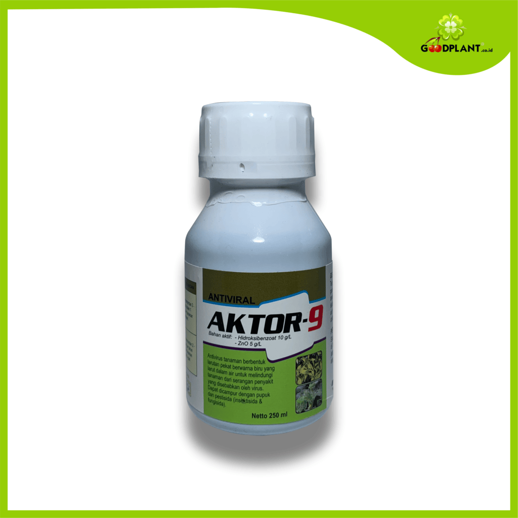 Aktor 9 - GOODPLANT | Toko dan Kebun Hidroponik | 0822 2727 3232