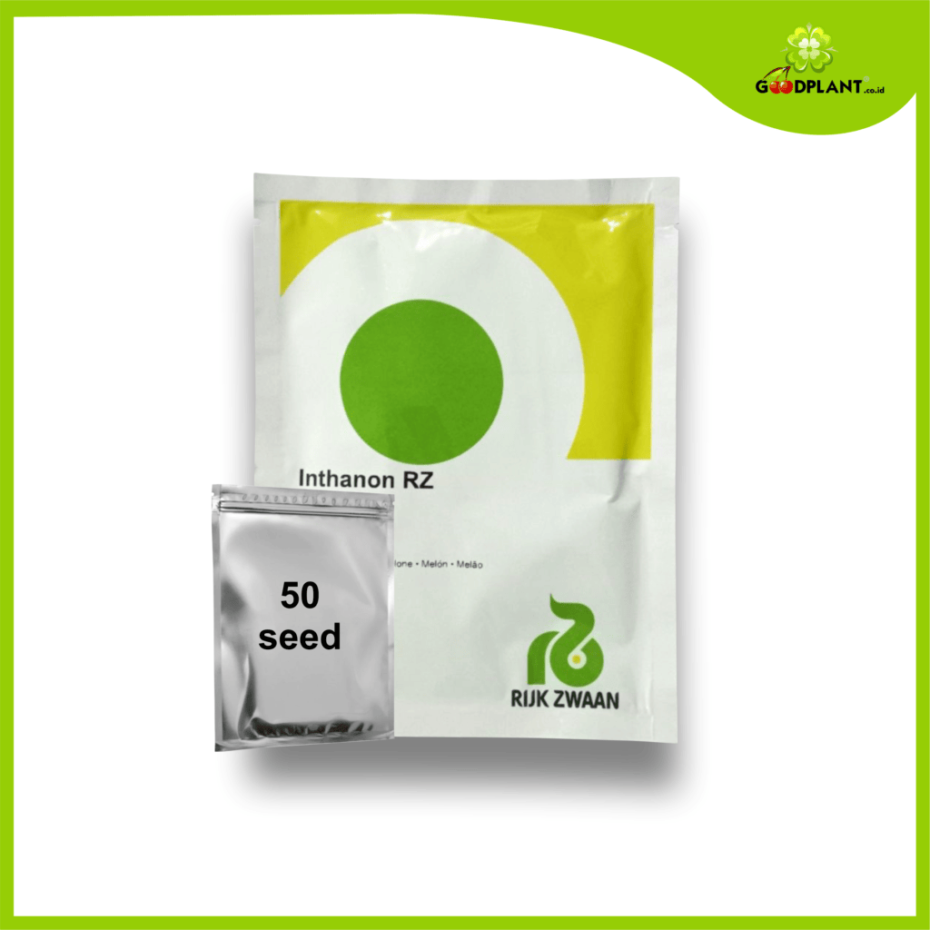 Benih Melon RZ Inthanon Repack 50 seed - GOODPLANT | Toko dan Kebun ...
